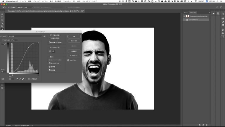 Photoshopで写真をキレイに白黒2階調にする方法 05秒を積み上げろ